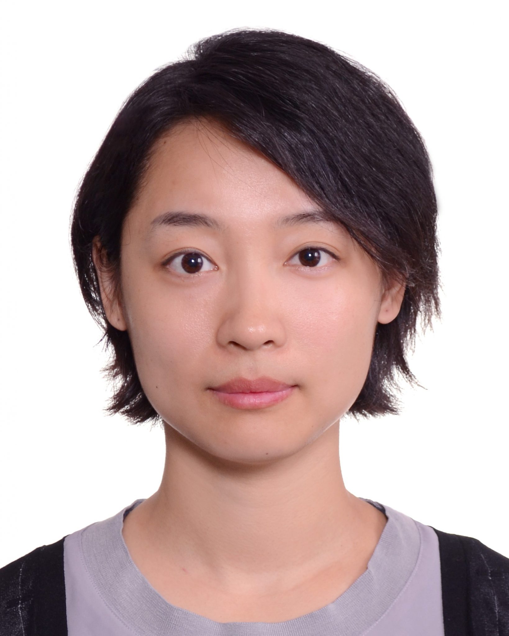 模型团队 – MEICModel