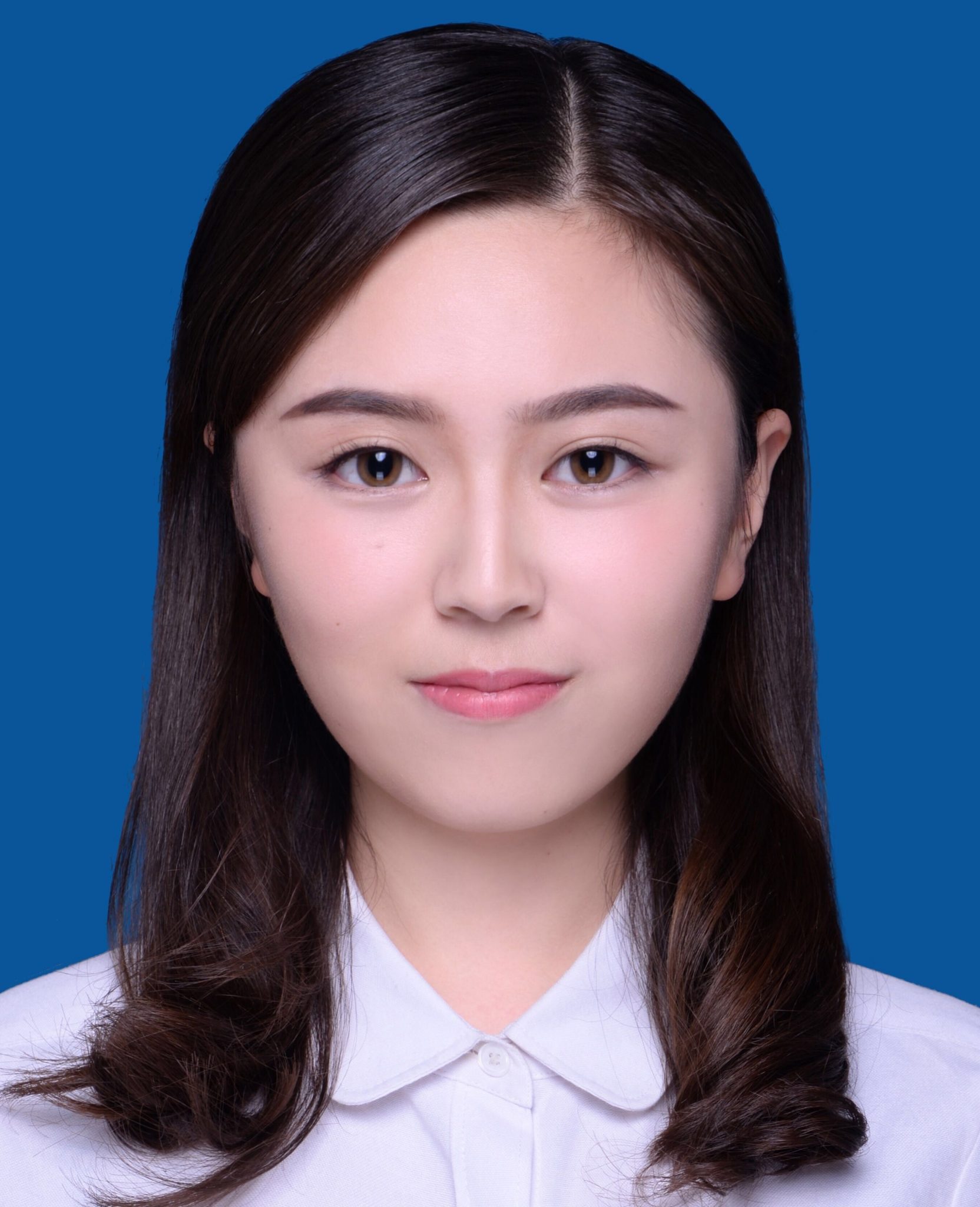 模型团队 – MEICModel