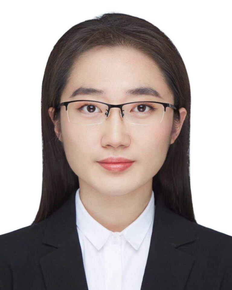 MEIC team – MEICModel